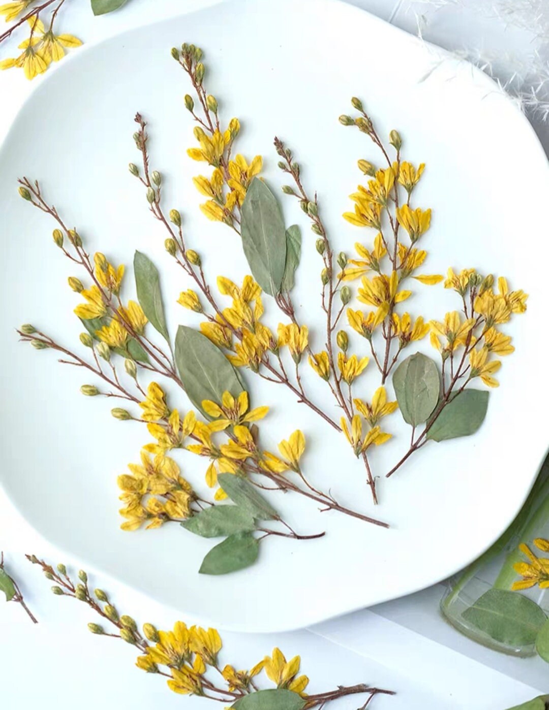 Buy Pressed Yellow Flowers; Pressed Dried Wild Flowers; Pressed Flowers ...