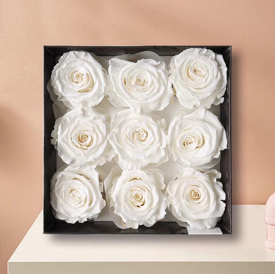 4-5cm Preserved Rose Preserved White Rose Everlasting Rose Everlasting ...