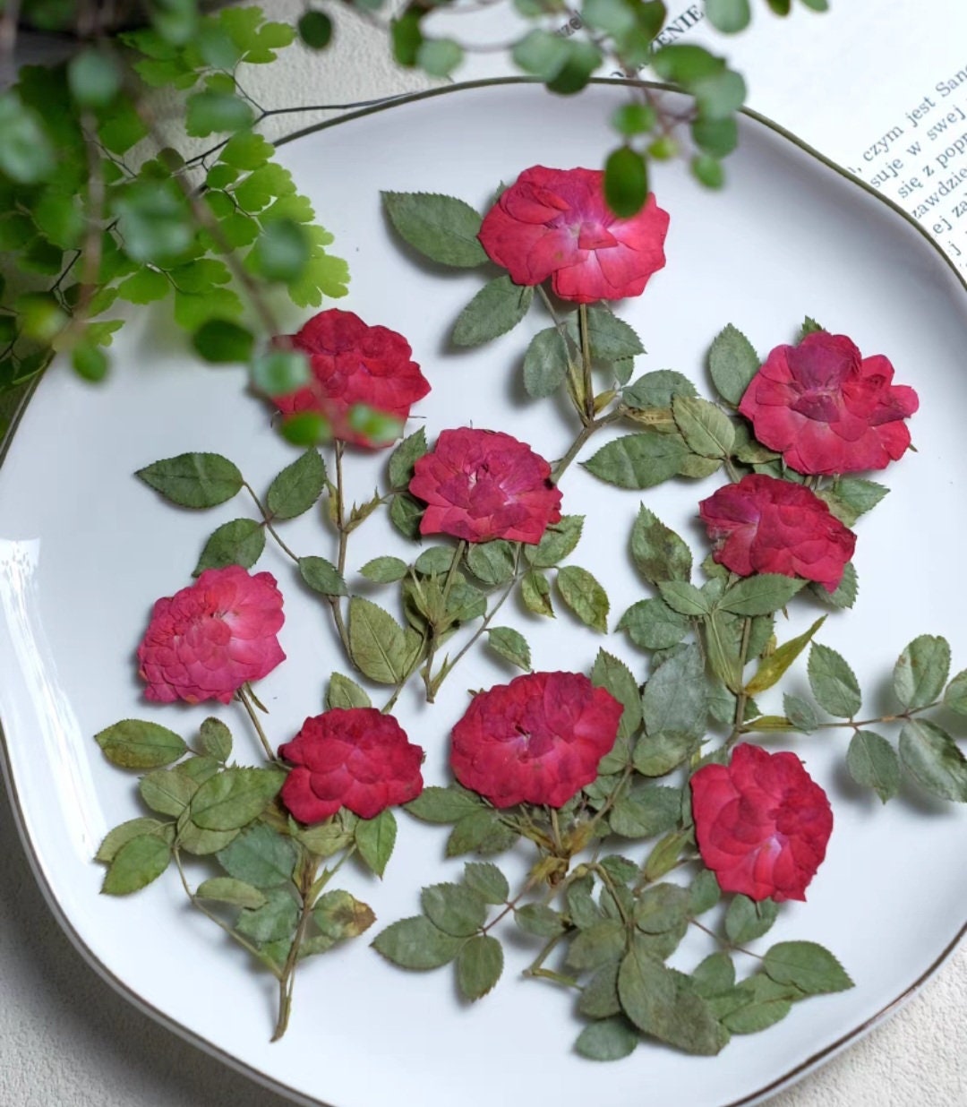 Pressed Rose Flowers Pressed Dried Rose Flowers Side-pressed Rose ...