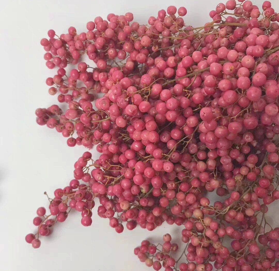 Dried Pepperberries Pink Pepperberies Dried Berries Dried Red Berries ...