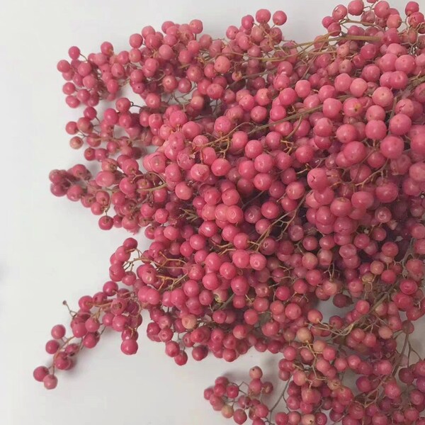 Dried Berries - Etsy