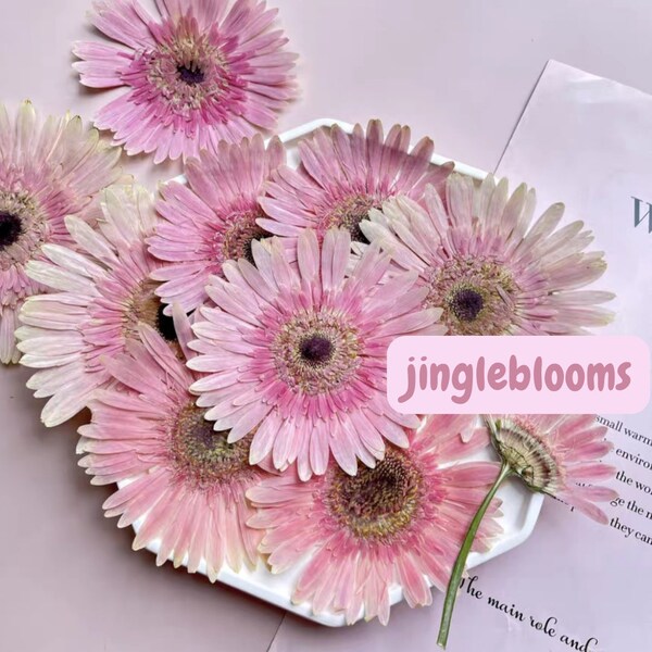 Pressed Flower Art - Etsy