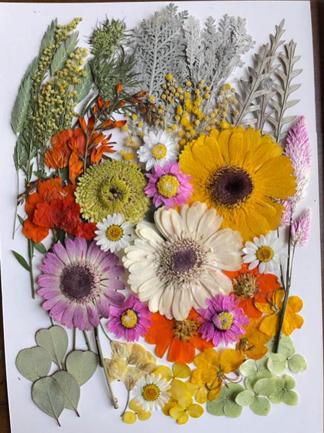 70 Mixed Dry Flowers Set,dried Pressed Flowers for Crafts, Pressed ...