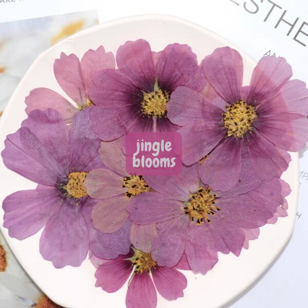 Pressed Flower Art - Etsy