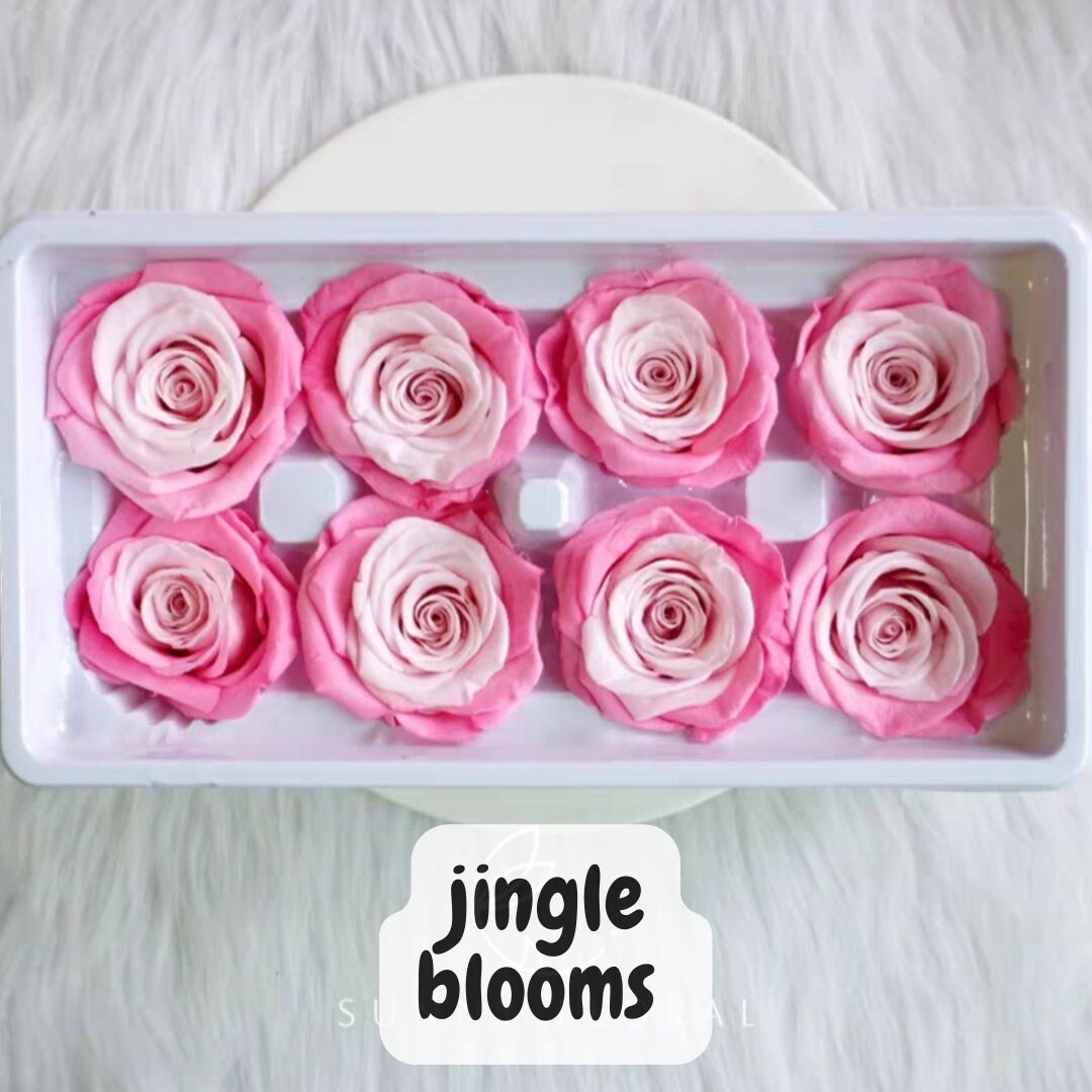 4-5cm Preserved Rose Preserved Pink Rose Everlasting Rose Everlasting ...