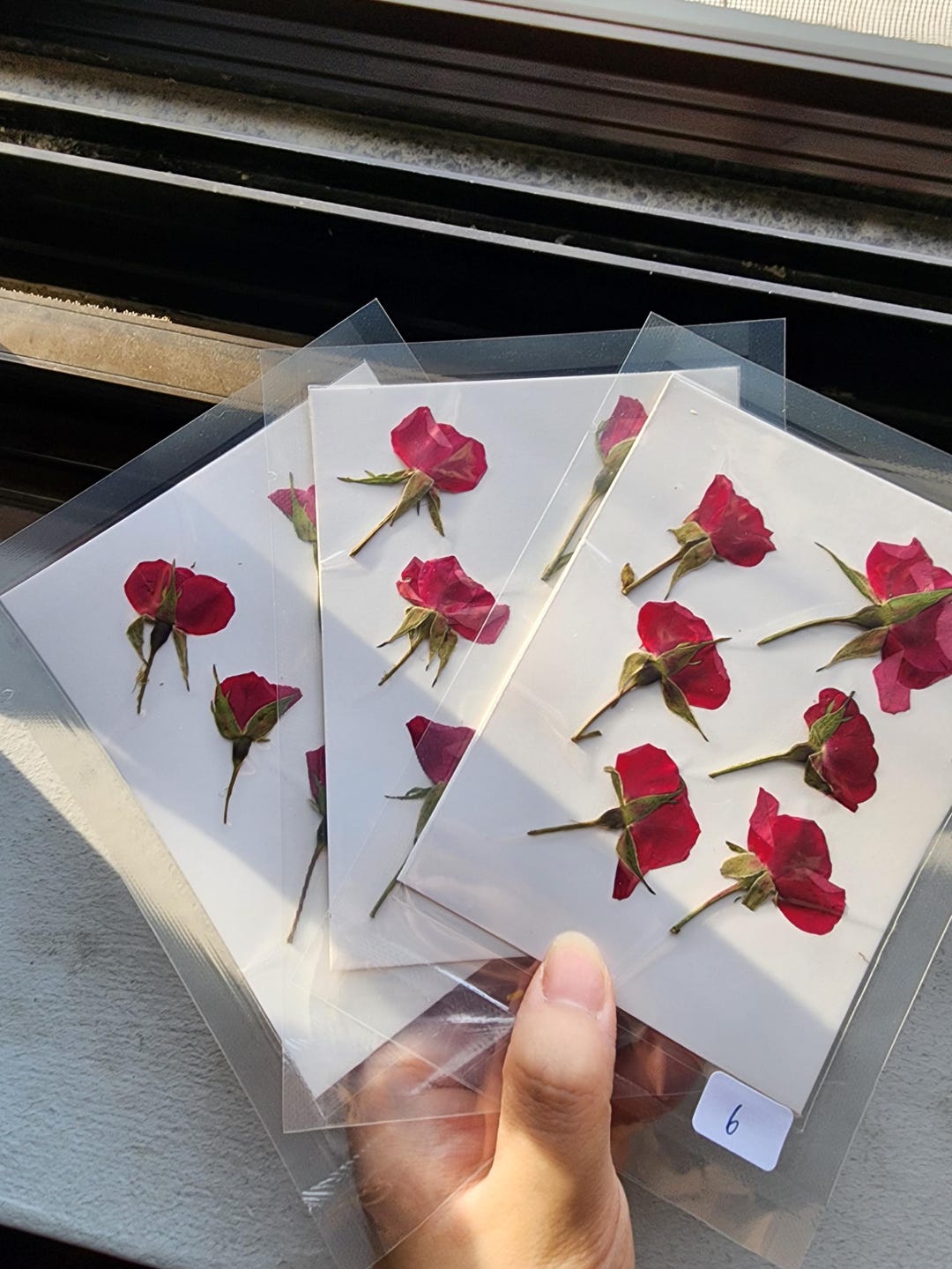20 Pressed Rose Flowers;pressed Dried Rose Flowers;side-pressed Rose ...