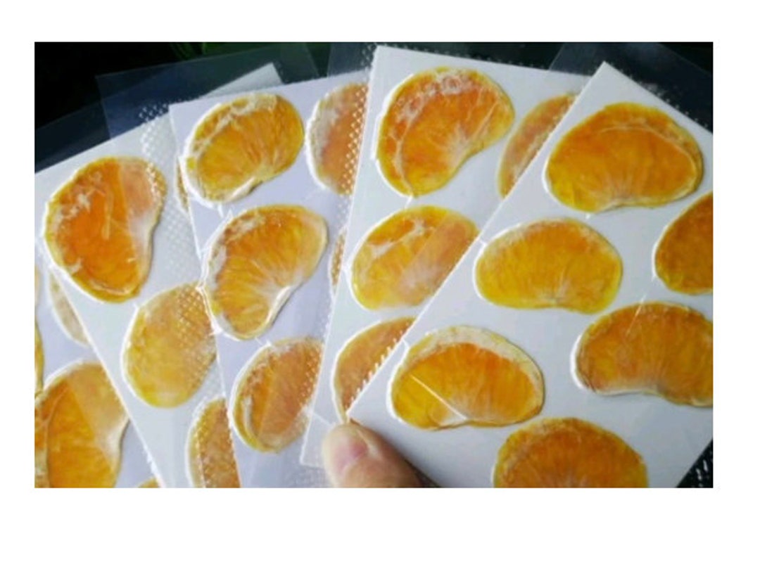 Pressed Orange Dried Pressed Orange Pressed Orange Slices Dried Pressed ...