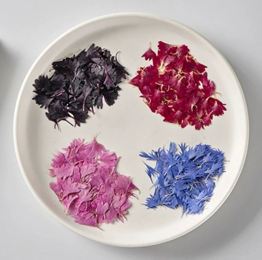 20 Pressed Cornflowers Pressed Dried Cornflowers Blue - Etsy