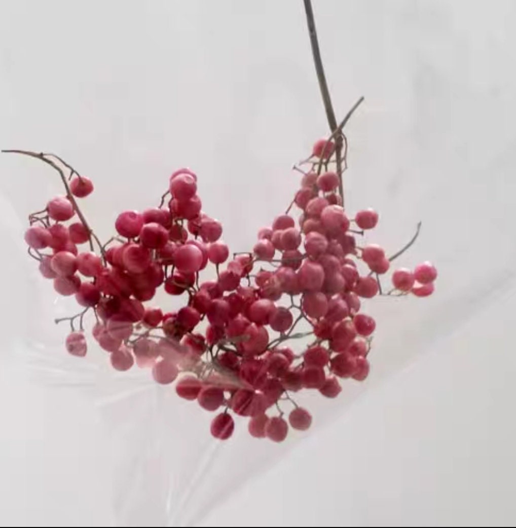 Dried Pepperberries Pink Pepperberies Dried Berries Dried Red Berries ...