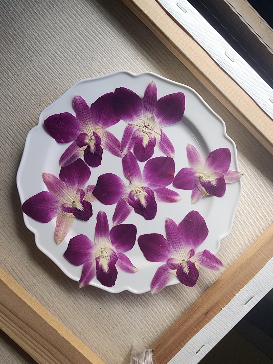 Pressed Orchid Flowers;pressed Dendrobium Flowers;pressed Flowers for ...