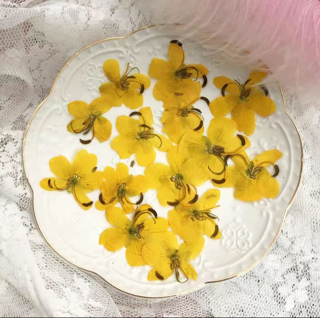 12 Pressed Dried Yellow Flowers/ Yellow Flowerspressed Hibiscus ...