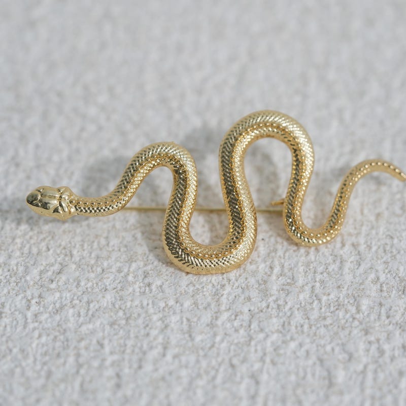 Snake Brooch - Etsy