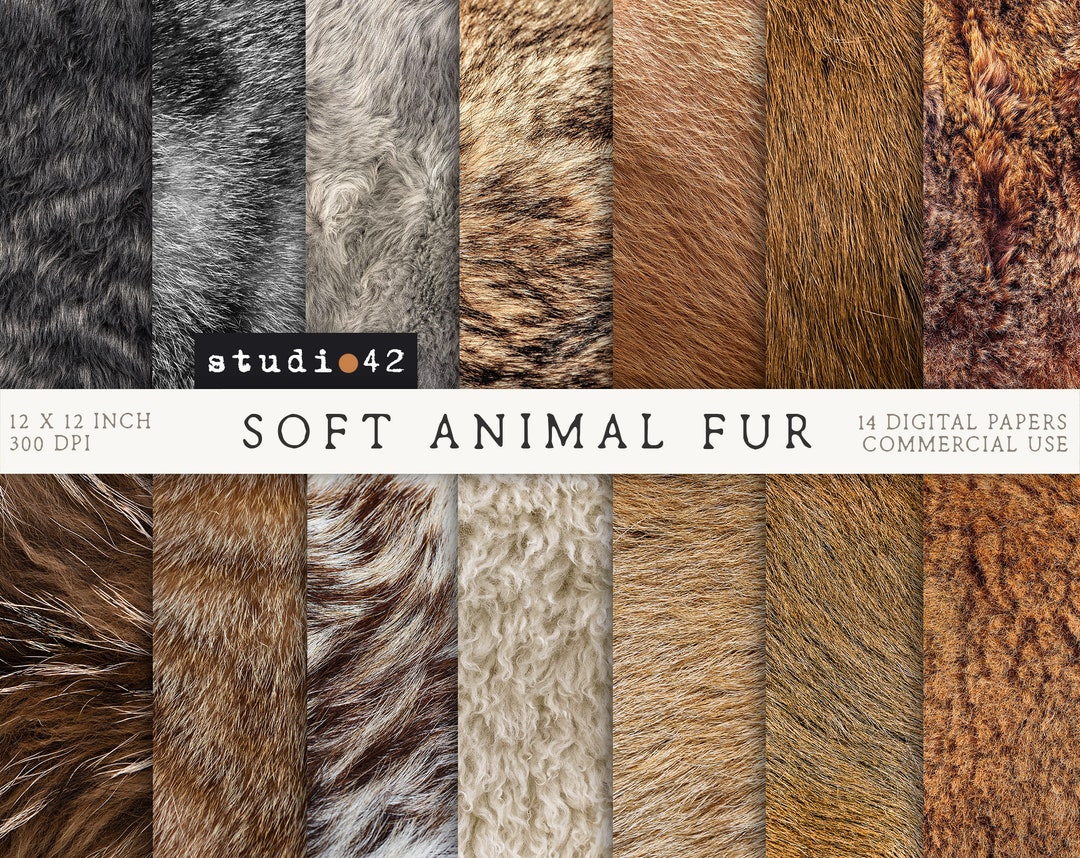 Animal Fur Textures Digital Paper, Real Animal Fur Texture Paper, Fur ...