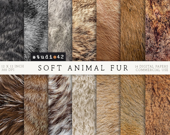 Animal Fur Textures