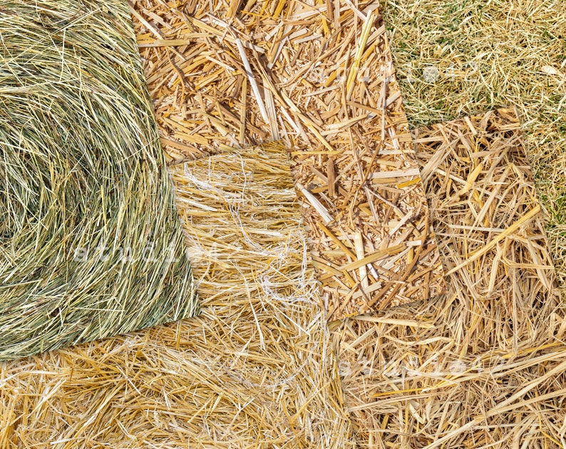 Hay Background Digital Papers, Hay Texture Papers, Dry Hay Texture ...
