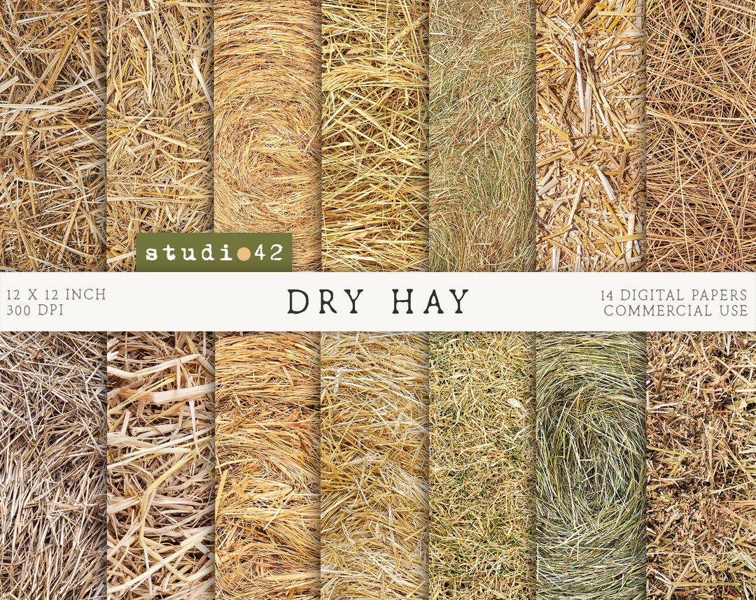 Hay Background Digital Papers, Hay Texture Papers, Dry Hay Texture ...