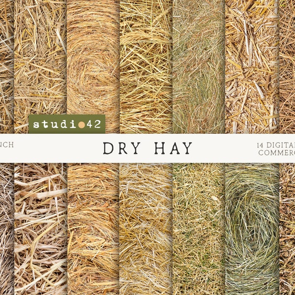 Hay Svg - Etsy