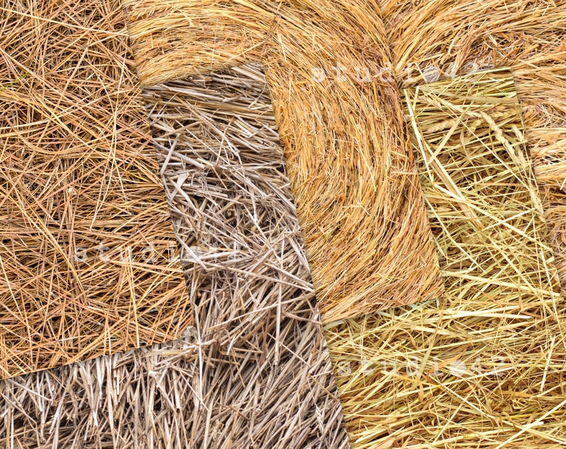 Hay Background Digital Papers, Hay Texture Papers, Dry Hay Texture ...