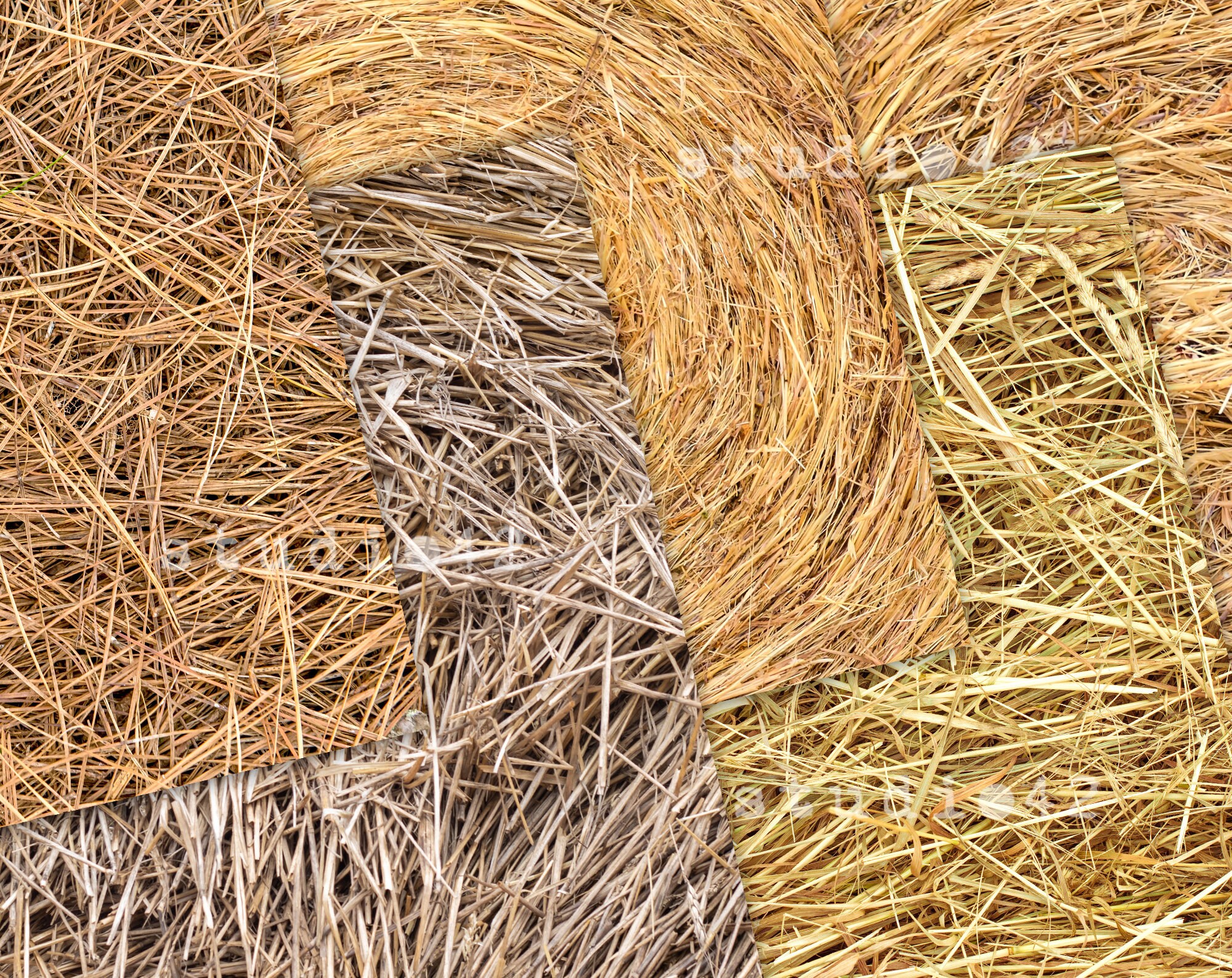 Hay Background Digital Papers, Hay Texture Papers, Dry Hay Texture ...