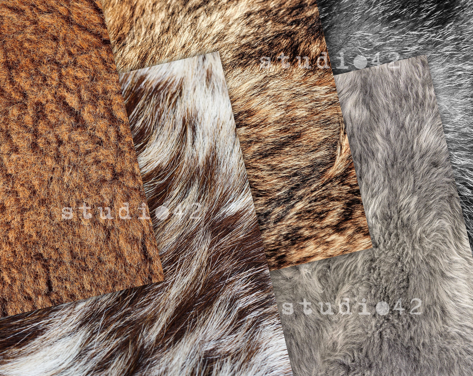 Animal Fur Textures Digital Paper Real Animal Fur (Instant Download) - Etsy