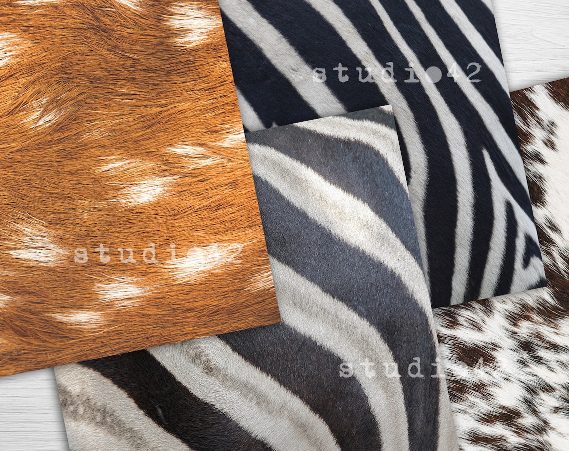 Animal Skin Textures Digital Paper Real Animal Fur Texture - Etsy