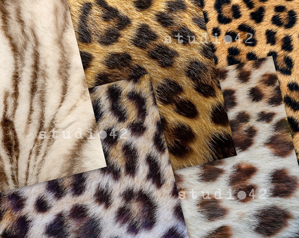 Animal Skin Textures Digital Paper, Real Animal Fur Texture Paper, Fur ...