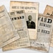 Printable Wanted / Reward Posters, Original Most Wanted Criminal, Crime ...