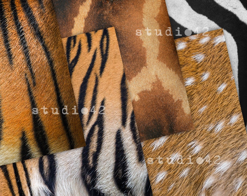 Animal Skin Textures Digital Paper, Real Animal Fur Texture Paper, Fur ...