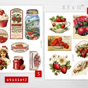 Strawberry Ephemera Pack, Strawberries Digital Collage Sheets, Fruit ...