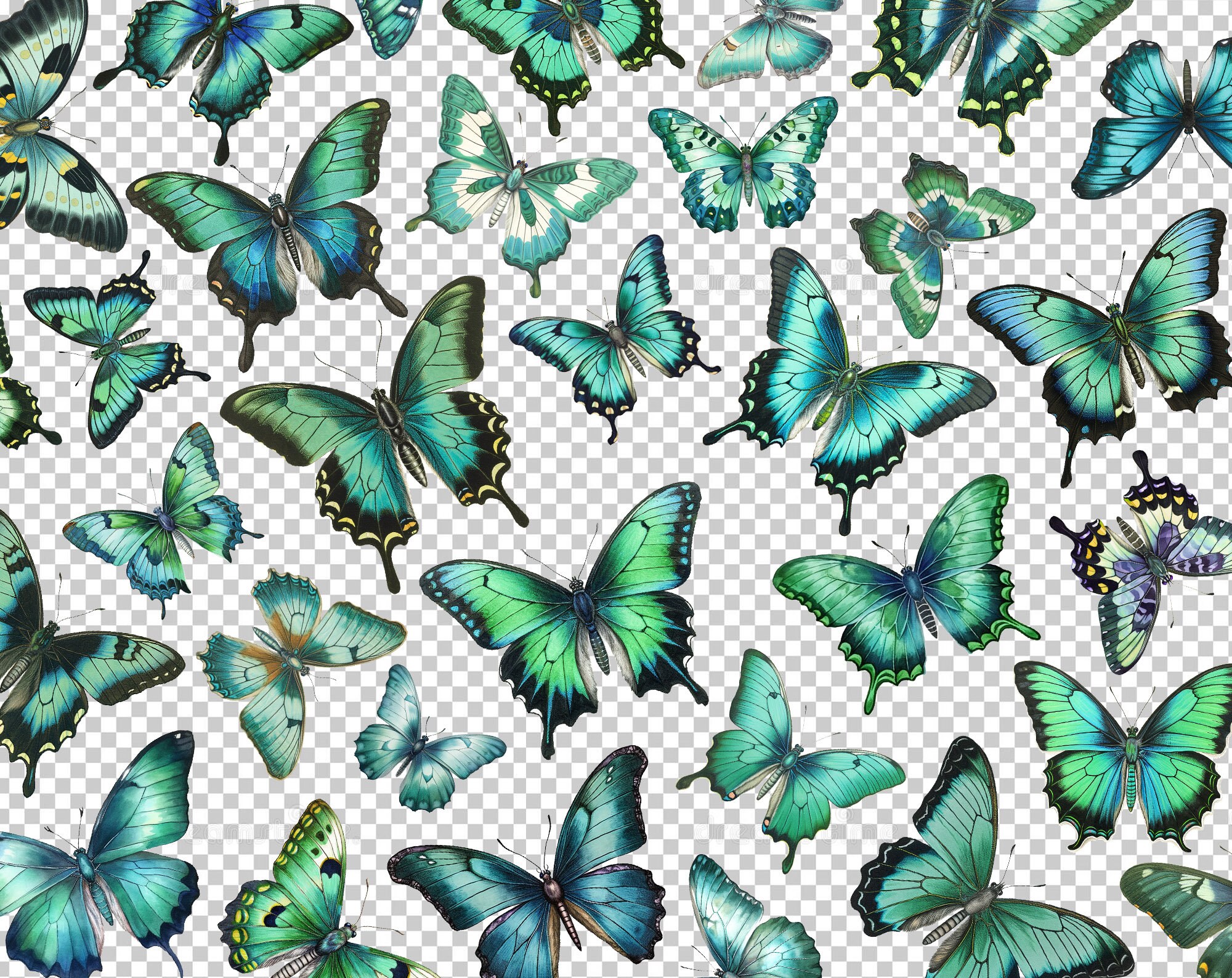 40 Teal Butterflies Clipart Pack, Vintage Blue Butterflies Clipart ...