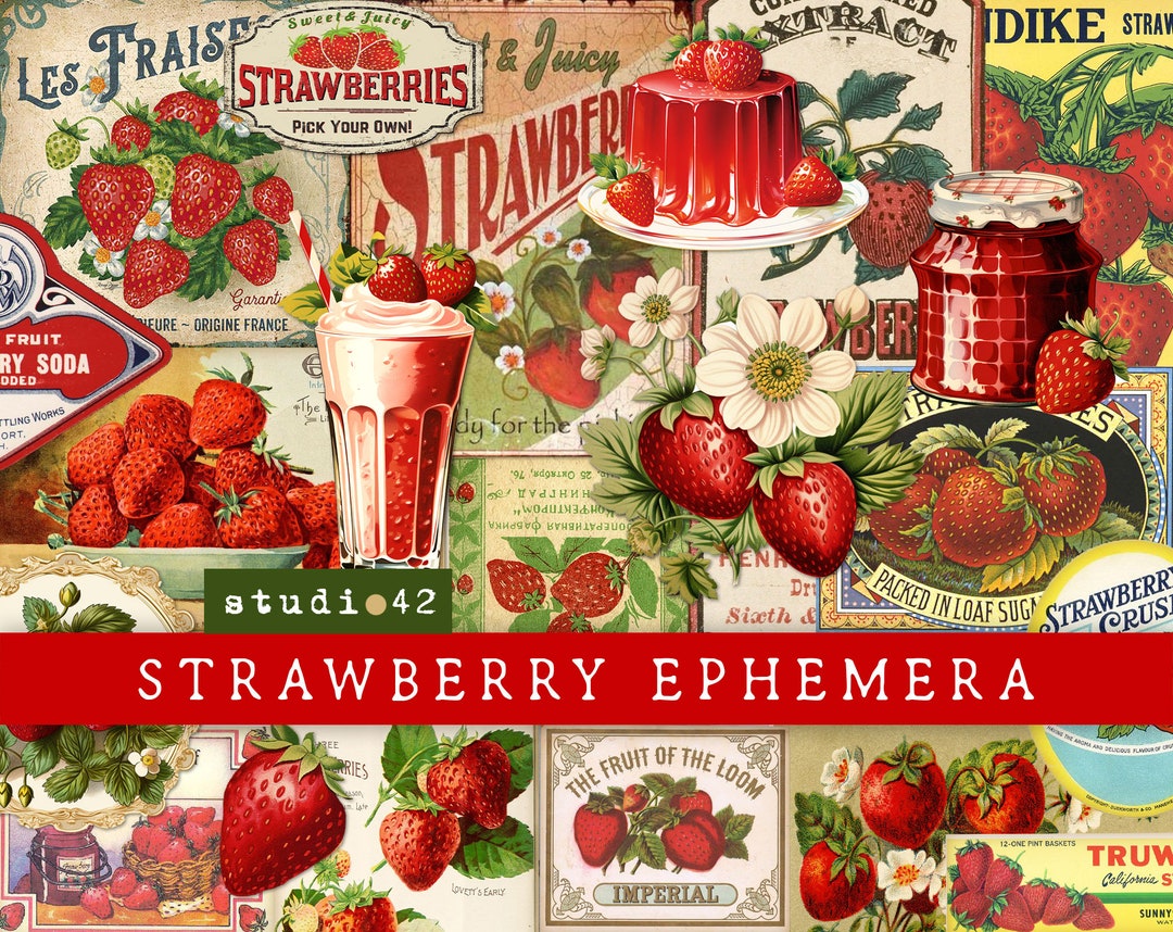 Strawberry Ephemera Pack, Strawberries Digital Collage Sheets, Fruit ...