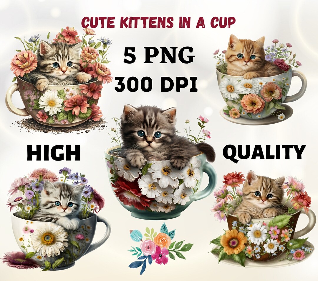 Cute Kitten in a Cup Clipart Collection With Free Commercial License, 5 ...