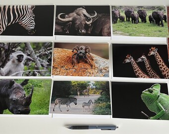 Wildlife Collection - Etsy