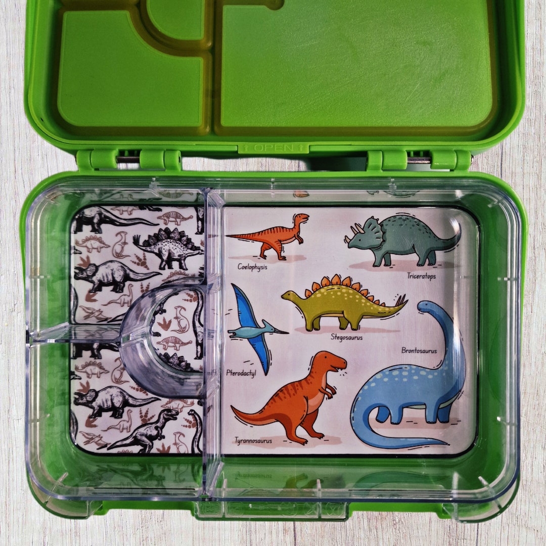 Insert, Lunchbox Insert, Snack Insert - Etsy