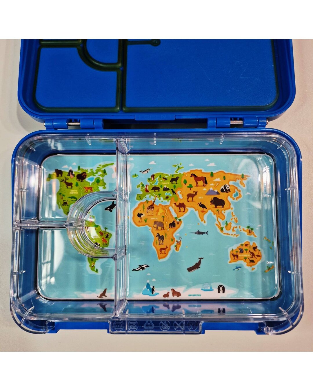 World Map, Personalized , Lunchbox Insert , Lunchbox , Lunch Box - Etsy