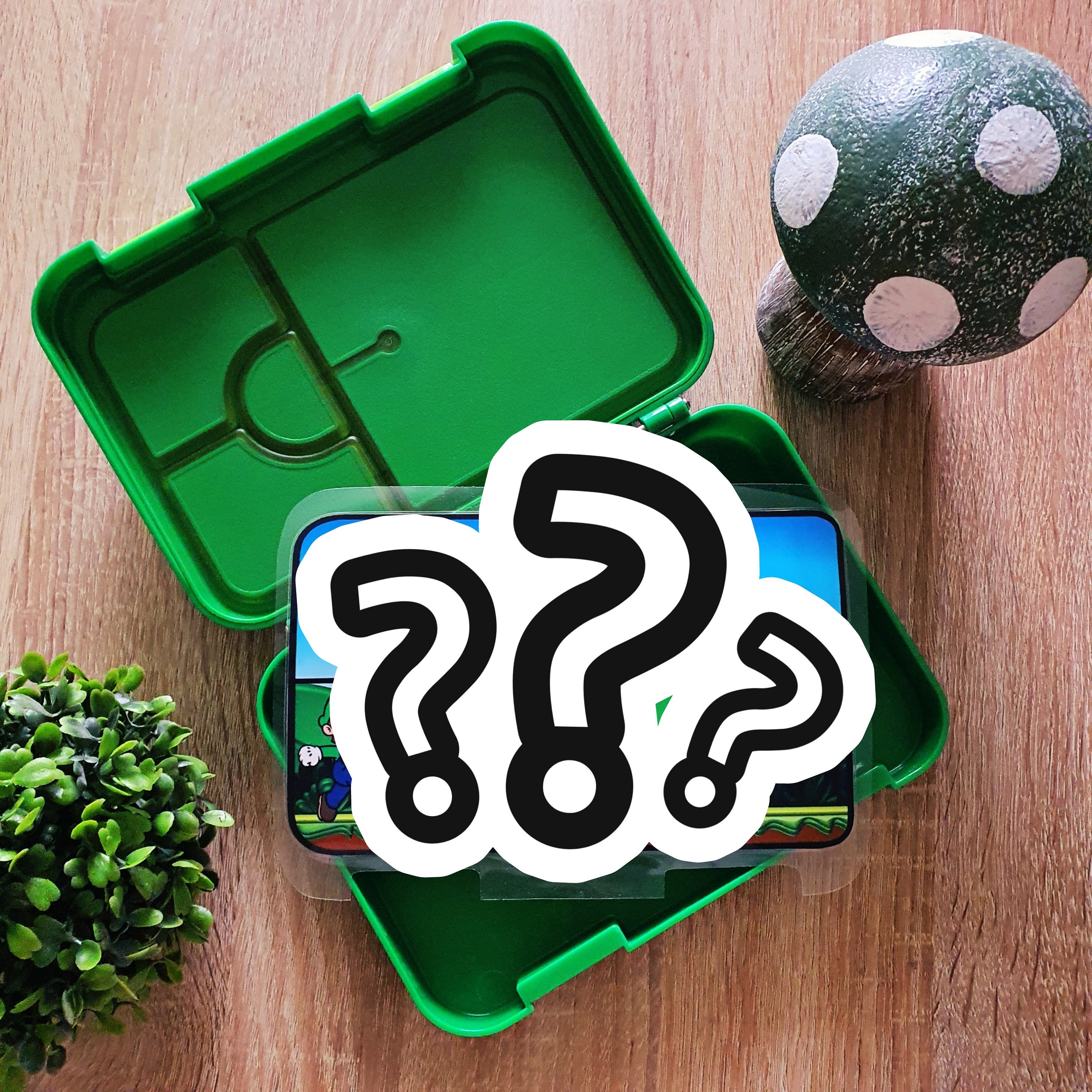 Plastic Lunch Boxes With Insert