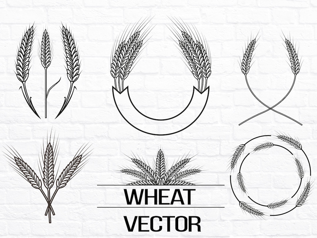 Wheat Split Monogram SVG Bundle, Wheat Bunch SVG, Wheat Wreath SVG ...