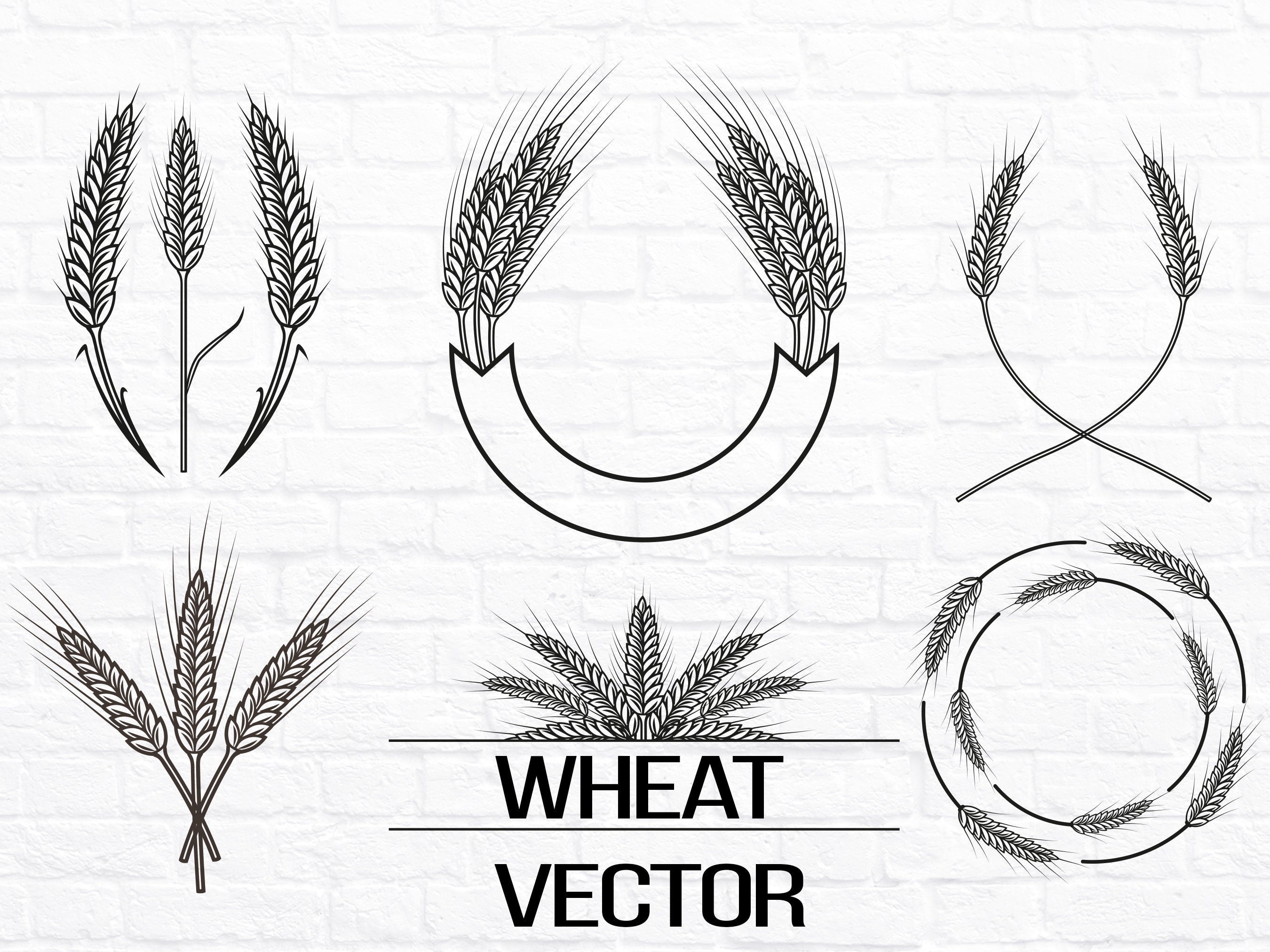 Wheat Split Monogram SVG Bundle, Wheat Bunch SVG, Wheat Wreath SVG ...