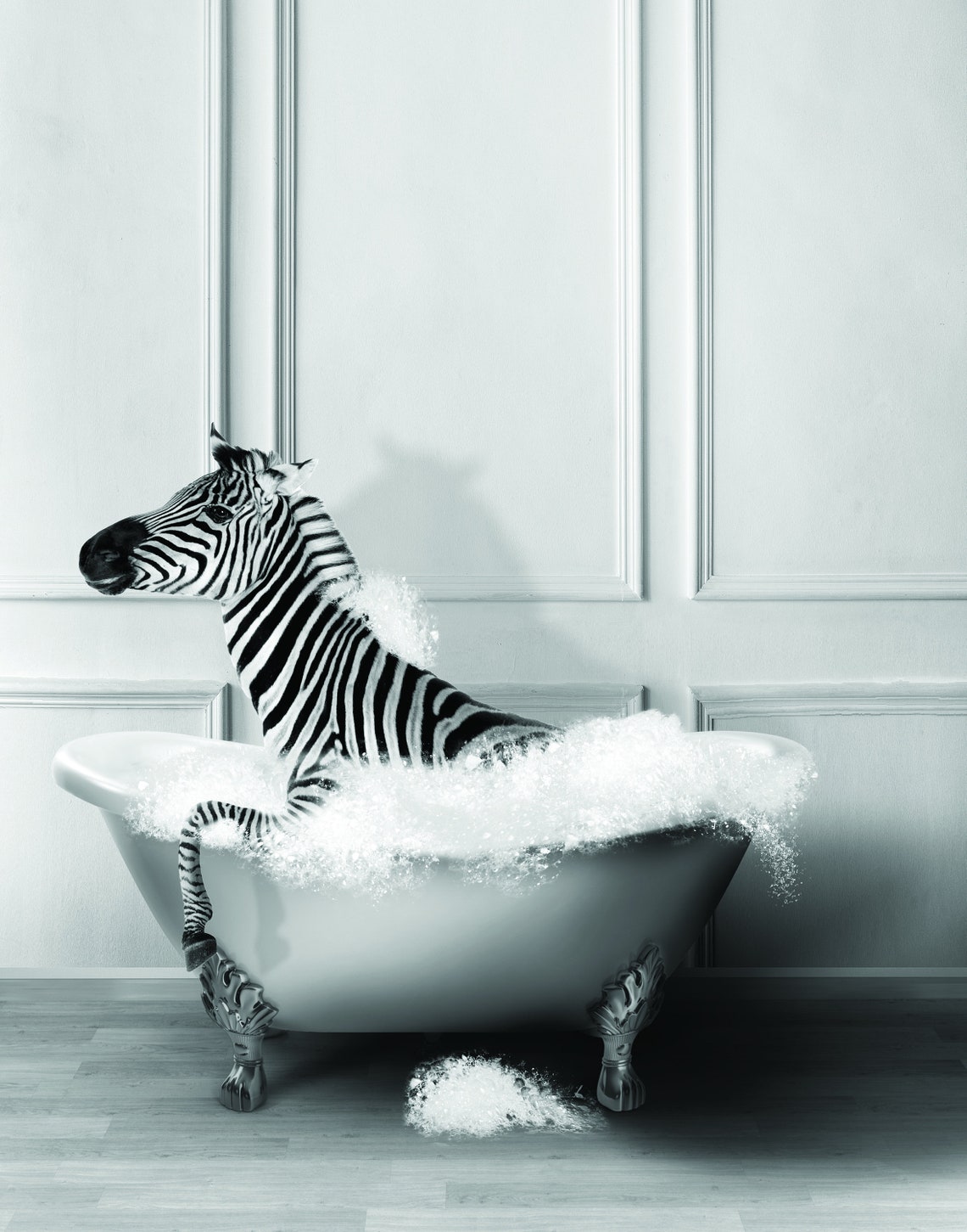 Zebra Digital Art Print, Zebra Taking Shower in Bath Tub, Wall Decor ...