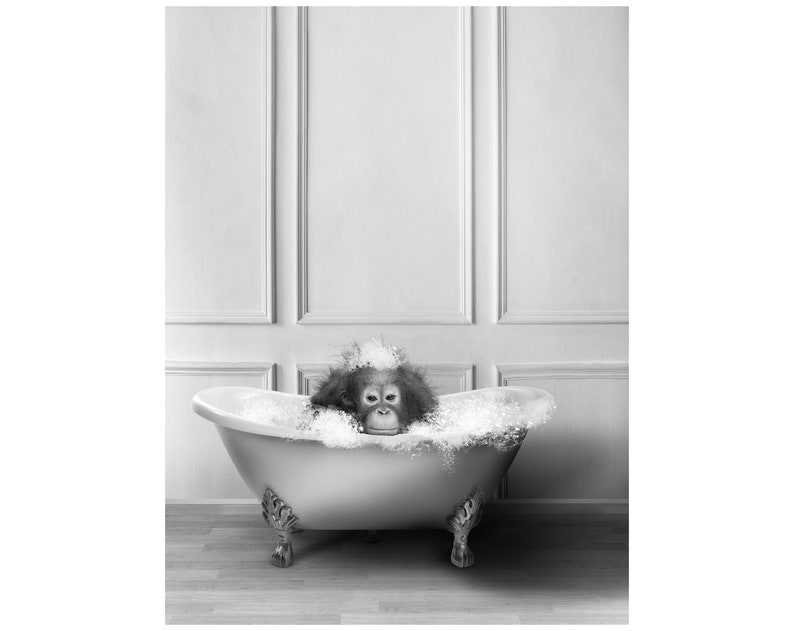 Cute Orangutan Digital Art Print Orangutan Taking Shower in - Etsy