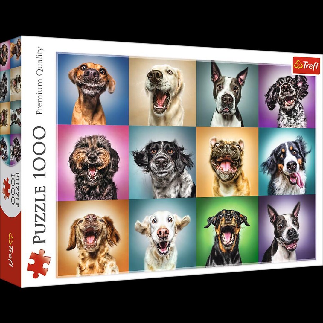 1000 Piece Jigsaw Puzzle, Funny Dog Portraits, Pets Puzzle, Golden ...