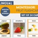 Fruits-montessori Language Cards, Montessori Printable, Montessori ...