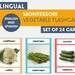 Vegetables-montessori Language Cards in English and Spanish ...
