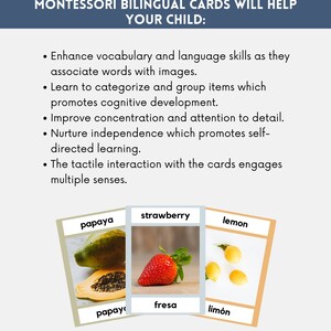 Fruits-montessori Language Cards, Montessori Printable, Montessori ...
