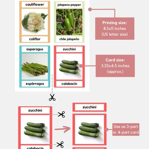 Vegetables-montessori Language Cards in English and Spanish ...