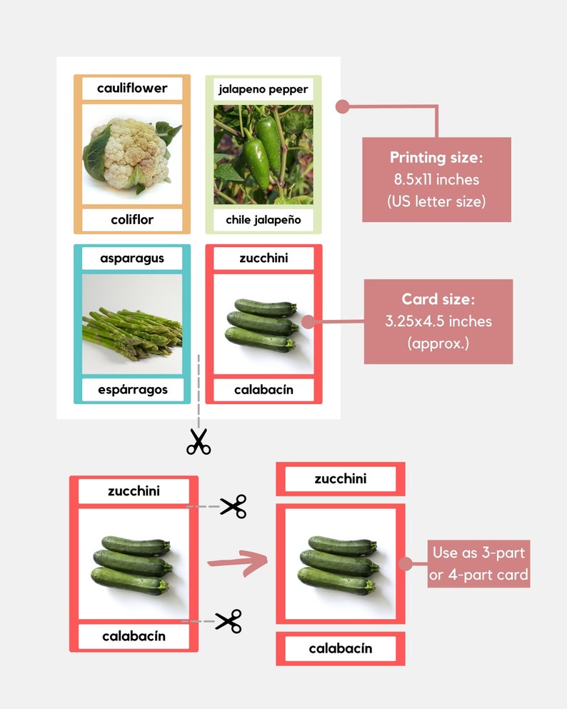 Vegetables-montessori Language Cards in English and Spanish ...