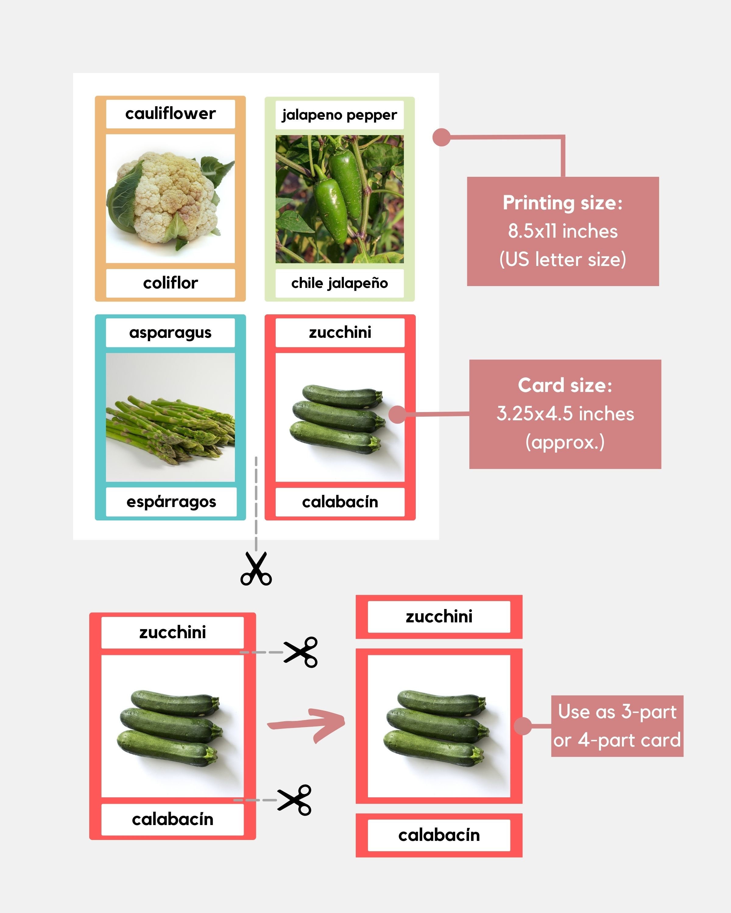 Vegetables-montessori Language Cards in English and Spanish ...