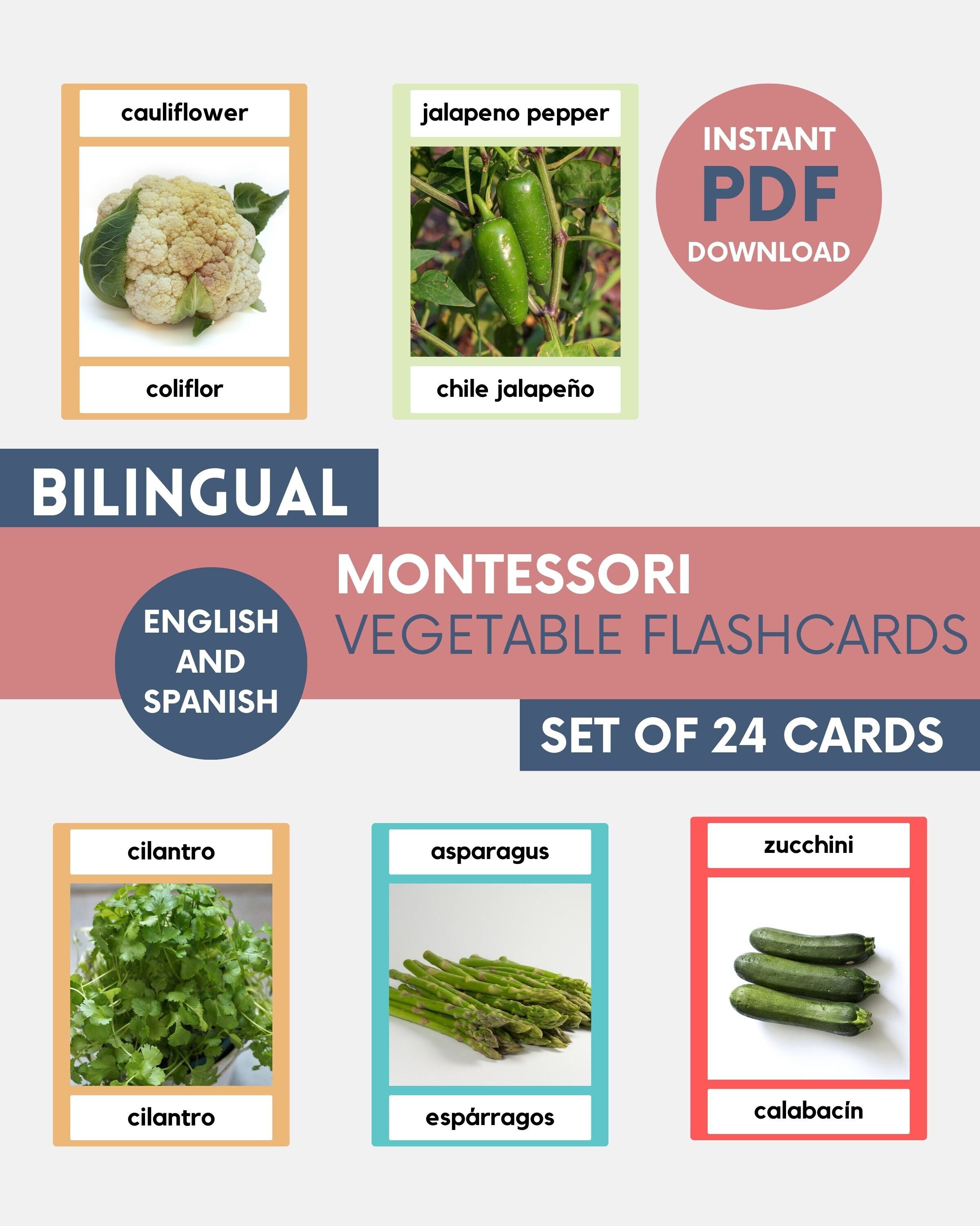 Vegetables-montessori Language Cards in English and Spanish ...