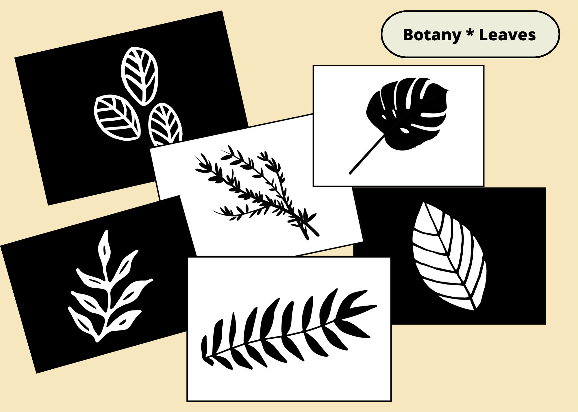 30 Printable High Contrast Black and White Cards. PDF Digital Download ...