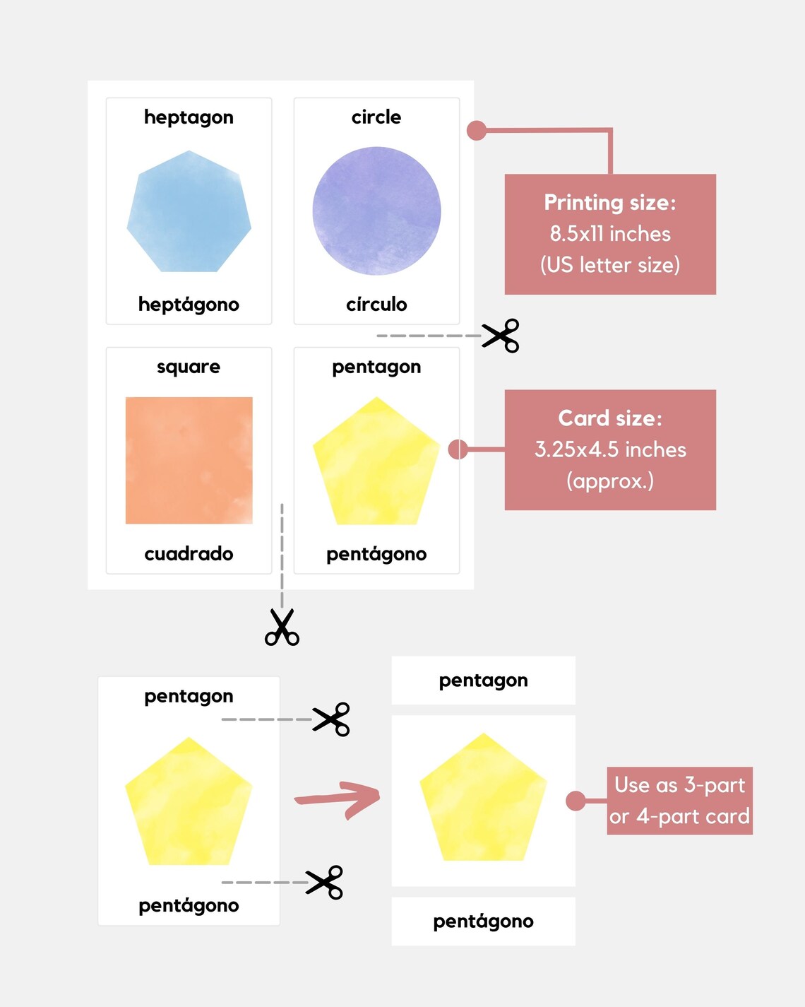 Bilingual Shapes Montessori 3 Part Card, 2D Shape Cards, Nomenclature ...